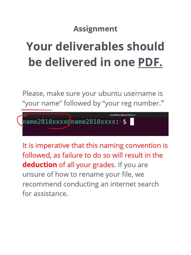 Hello World Assignment | PDF | Computers