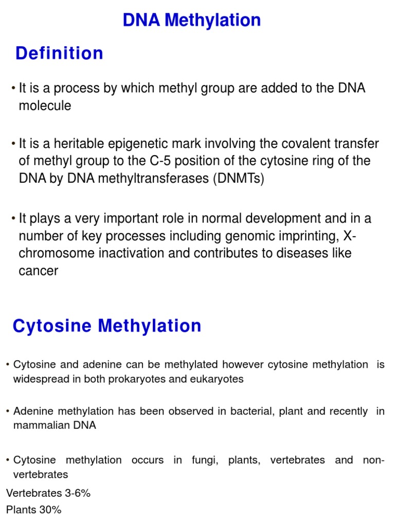 DNA Methylation-6 | PDF | Dna Methylation | Epigenetics