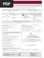 Formato Afil-01 | PDF | Ciudad de México