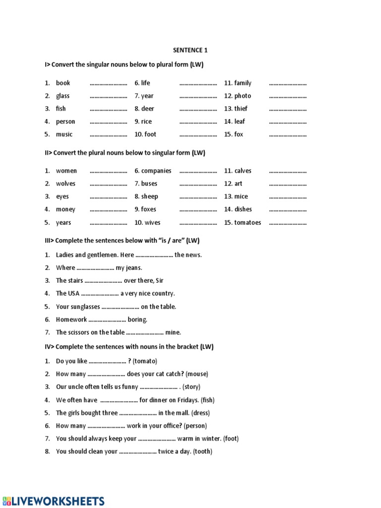 Week 3 - Partial 4 | PDF | Plural | Grammar