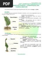 Filotaxia | PDF | Folha | Morfologia vegetal