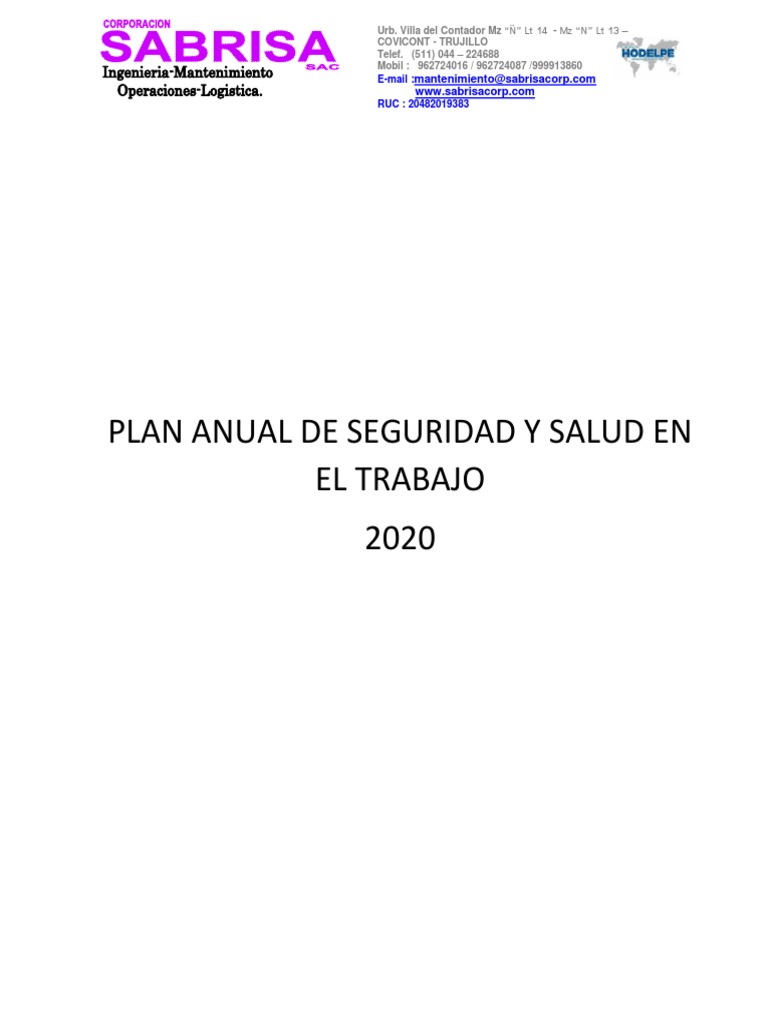 2 - Plan Anual de Seguridad y Salud en El Trabajo | PDF | Negocios | Computadoras