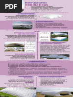 Undav - S.e.5. Tema 5 - Estructuras Neumáticas | PDF | Gases | Nieve