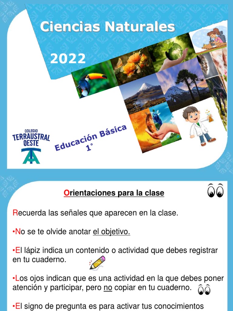 Seres Vivos en Ciencias Naturales 7° | PDF