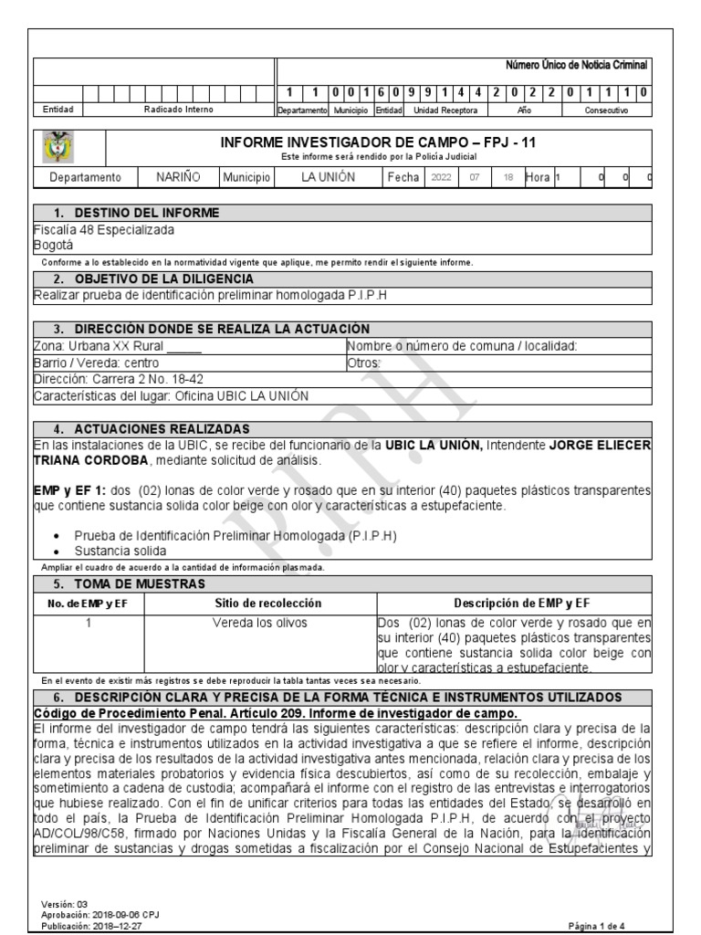 Informe Investigador de Campo - FPJ - 11: Número Único de Noticia Criminal | PDF | Color | Azul