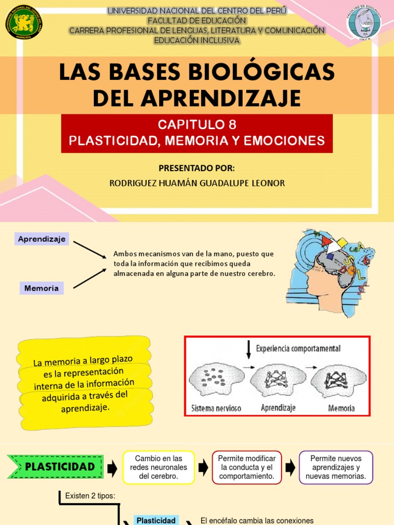 Cap 8 de Las Bases Biológicas Del Aprendizaje | PDF | Las emociones ...