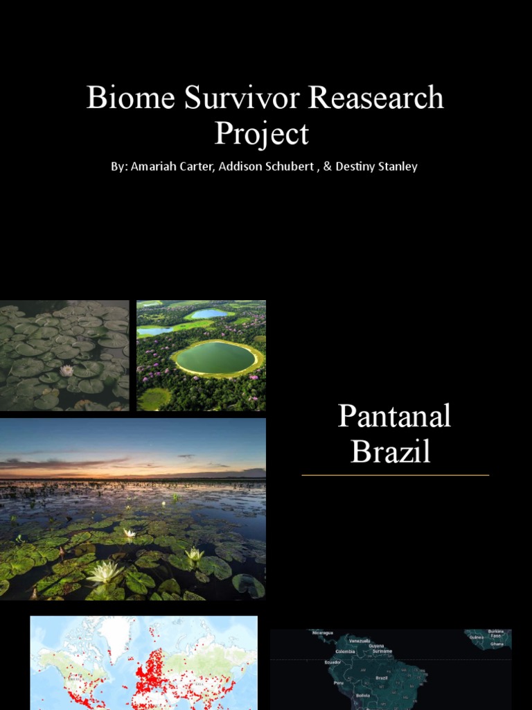 Biome Survivor Reasearch Project: By: Amariah Carter, Addison Schubert ...