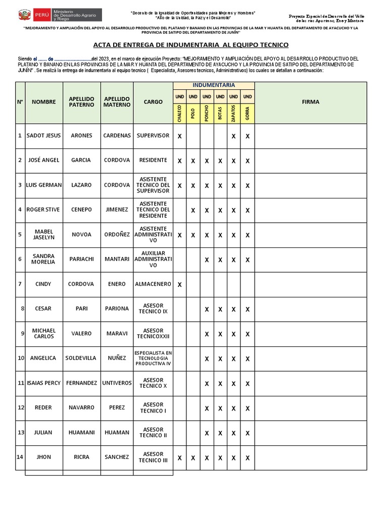 Acta de Entrega Al Equipo Tecnico | PDF