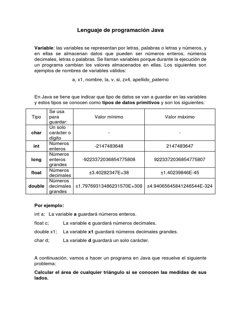 Lenguaje de Programación Java | PDF | Tipo de datos | Java (lenguaje de programación)