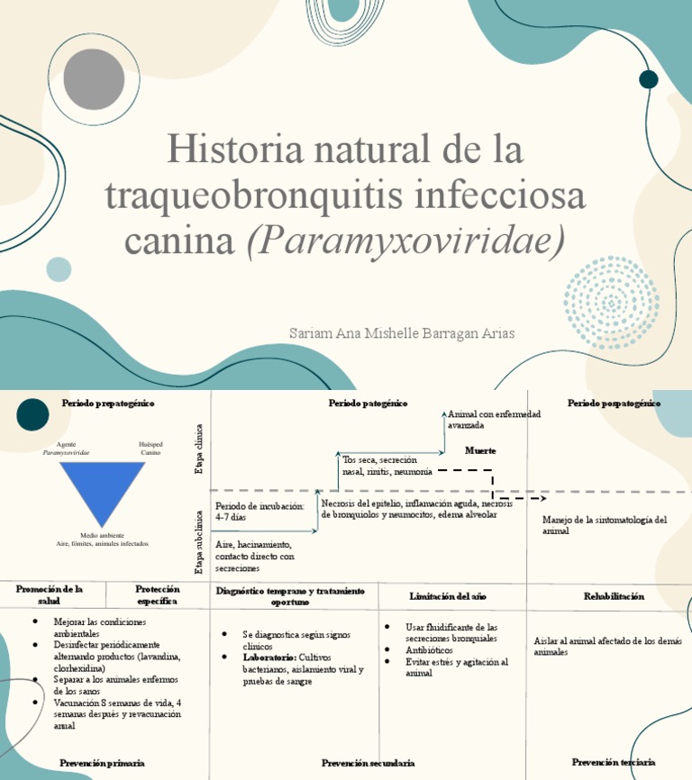 Historia natural de la traqueobronquitis canina | PDF | Neumonía ...
