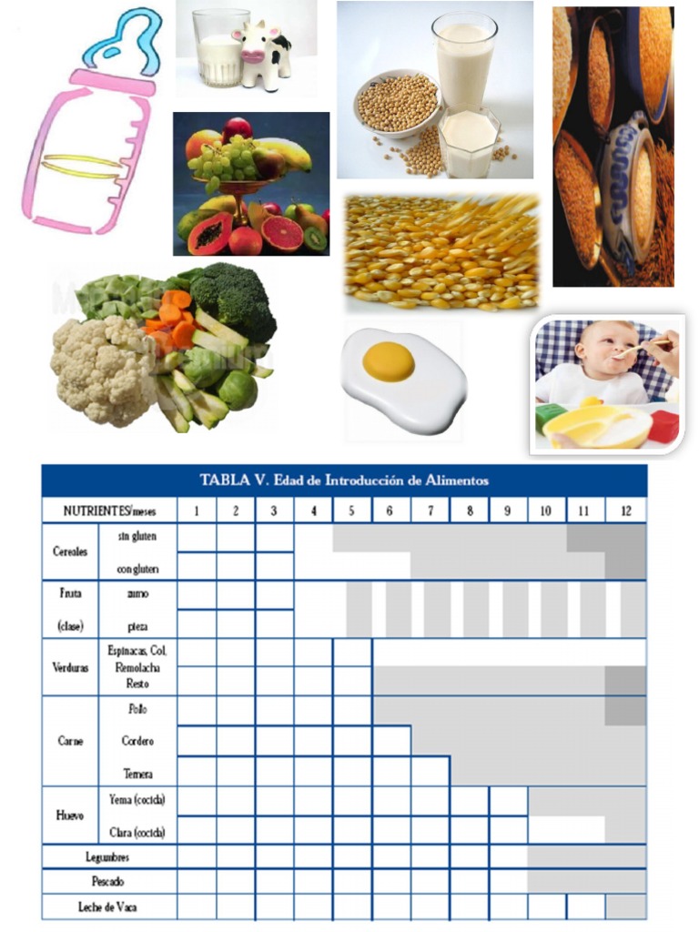 Alimentacion Del Lactante | PDF