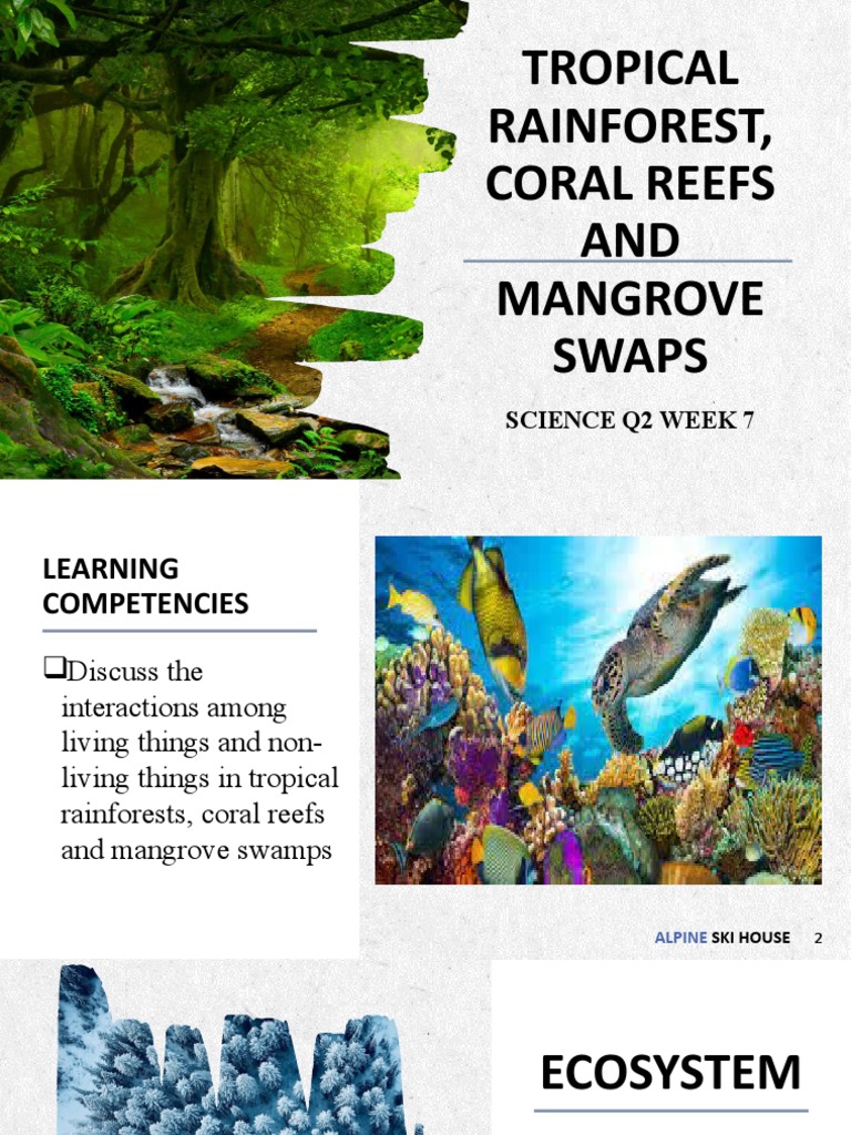 Rainforest, Coral Reef and Mangrove Ver. 02 | PDF | Rainforest | Coral Reef