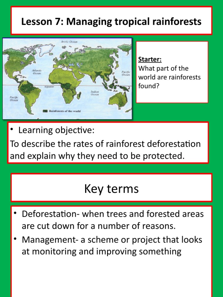Lesson 7 Rainforest Management | PDF | Amazon Rainforest | Deforestation