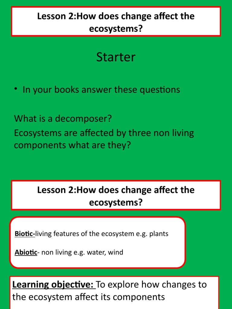 Lesson 2 Rainforests | PDF | Ecosystem | Habitat