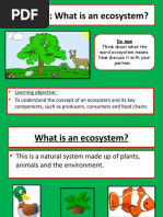 Epping Forest Case Study Booklet | PDF | Ecosystem | Systems Ecology
