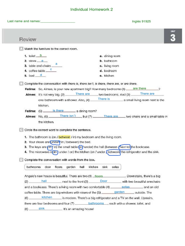 English Homework: Singular & Plural Practice | PDF