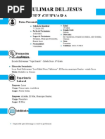 Curriculum Vitae GABY (2) Nuevo | PDF