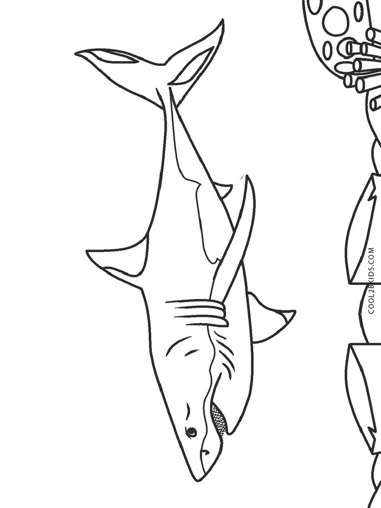 Tiburon-Blanco-Para-Colorear | PDF