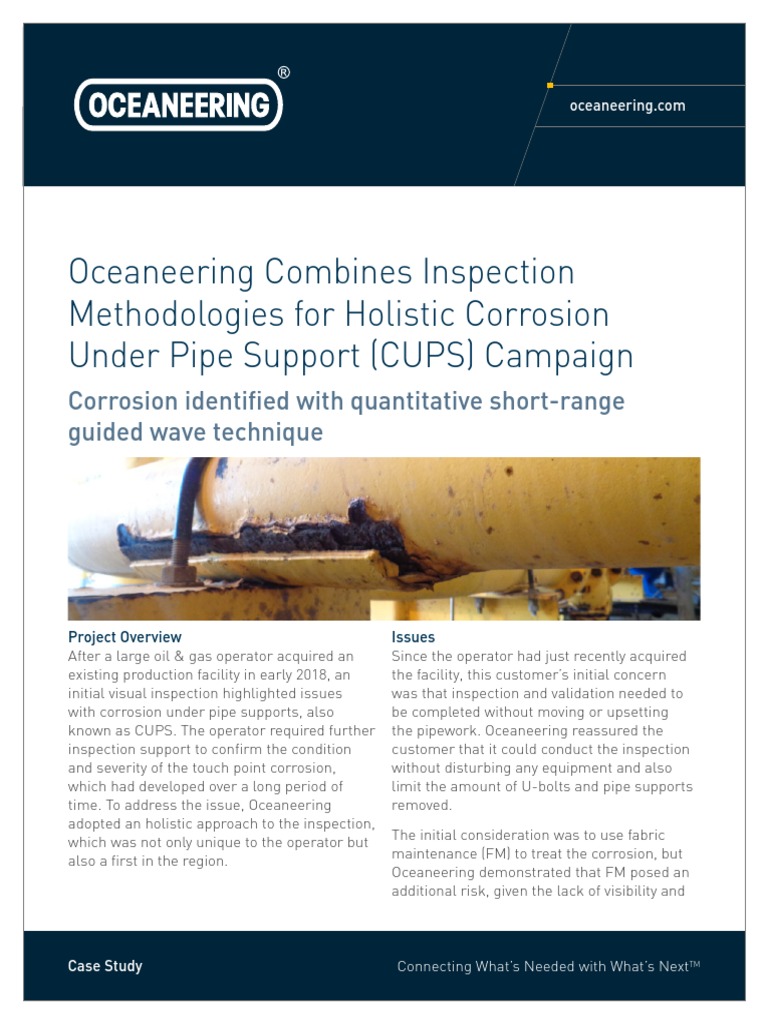 Case Study - CUPS Inspection Campaign | PDF | Nondestructive Testing ...