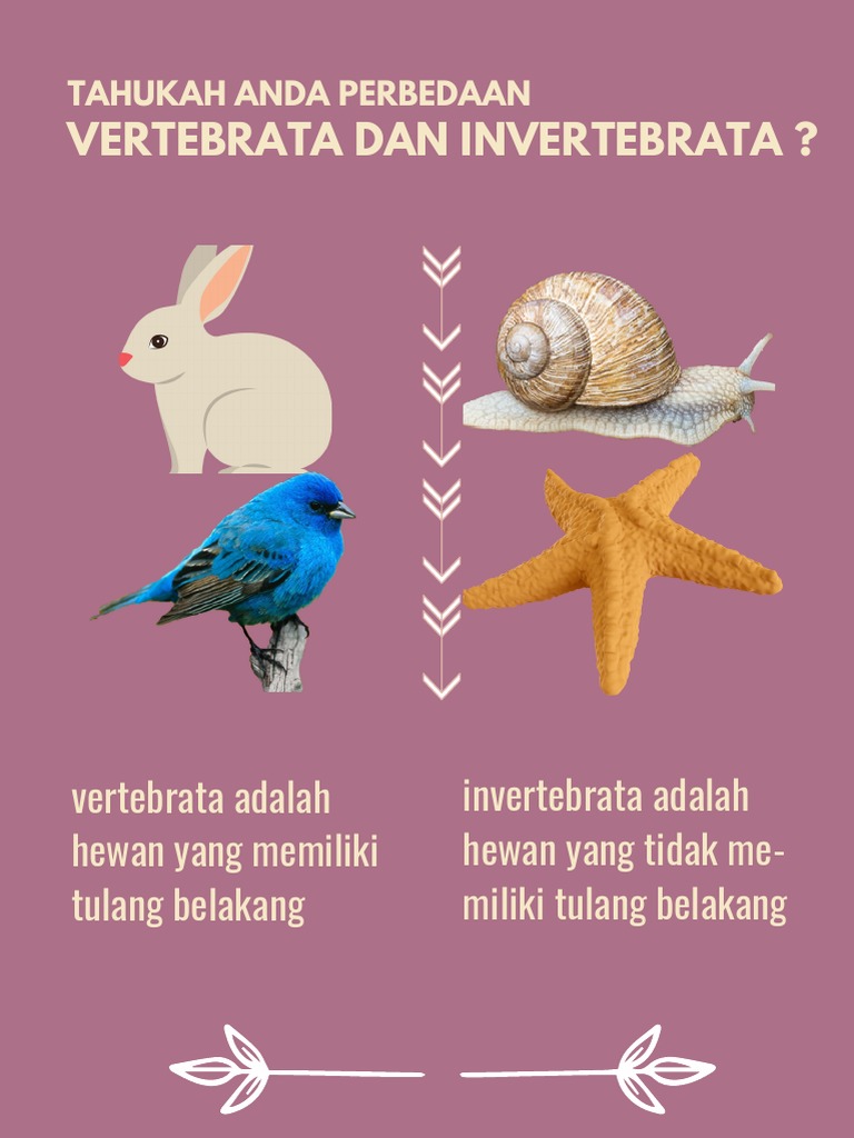 Perbedaan Vertebrata Dan Invertebrata | PDF | Agama & Spiritualitas