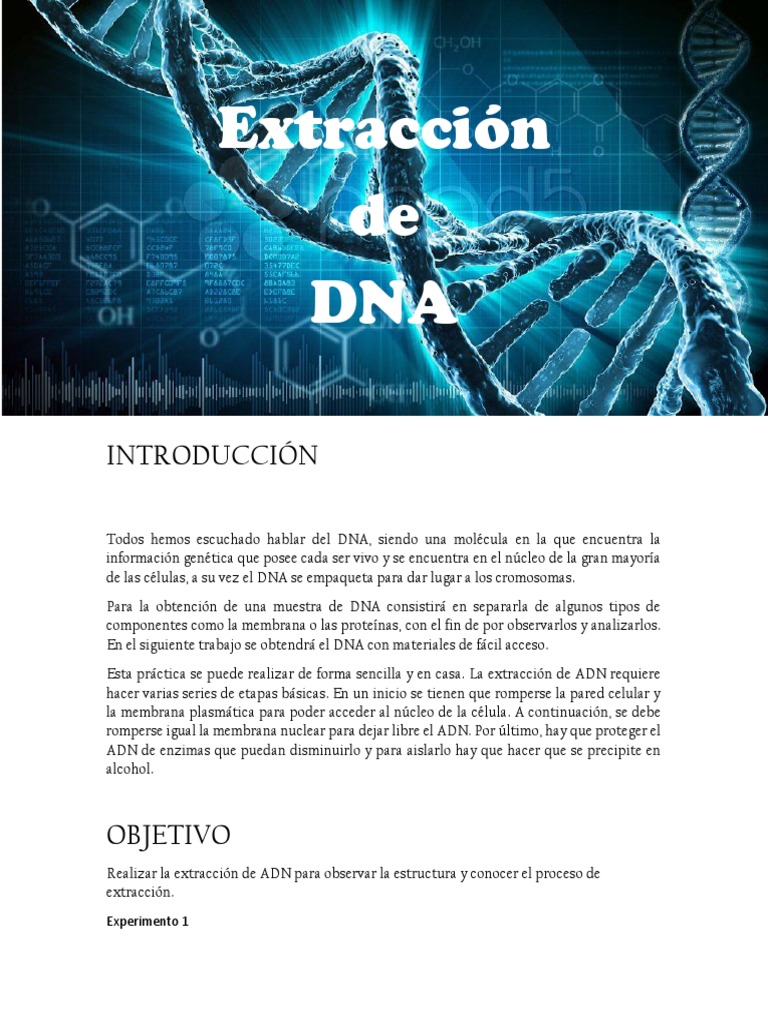 Extracción de ADN | PDF | Adn | Nucleo celular