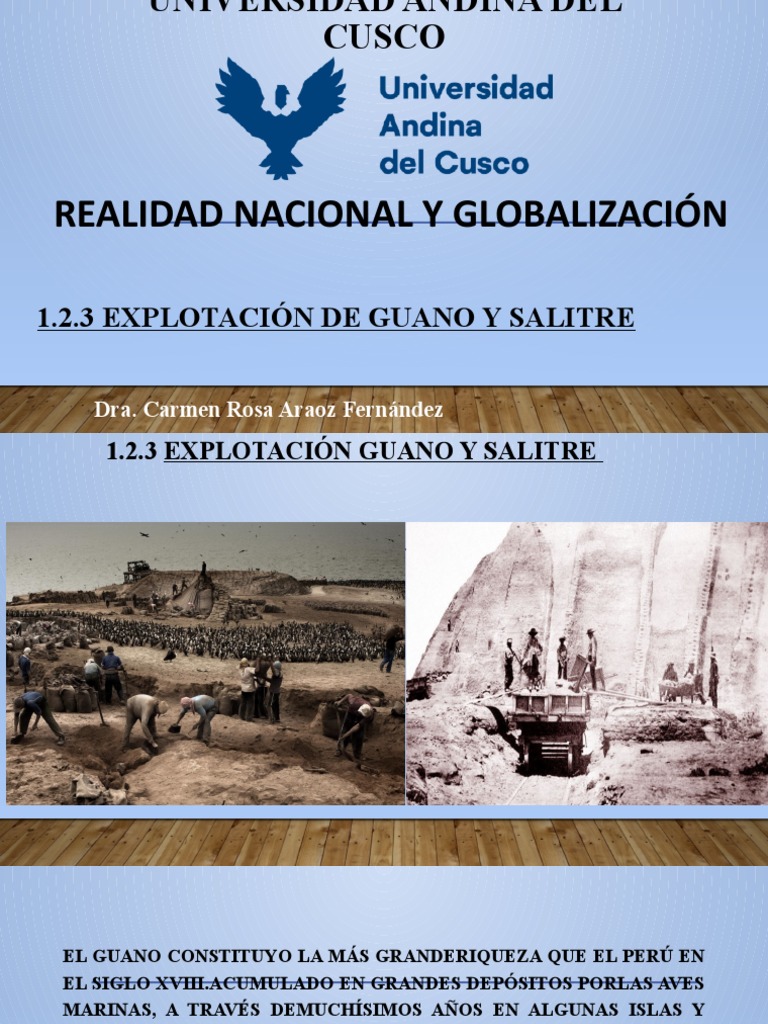 1.2.3 Explotacion de Guano y Salitre | PDF | Perú | Economias