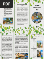 Triptico de Pasco | PDF | Alimentos | Naturaleza