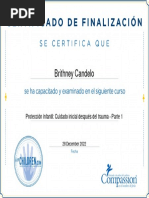 Constancia Complementaria | PDF