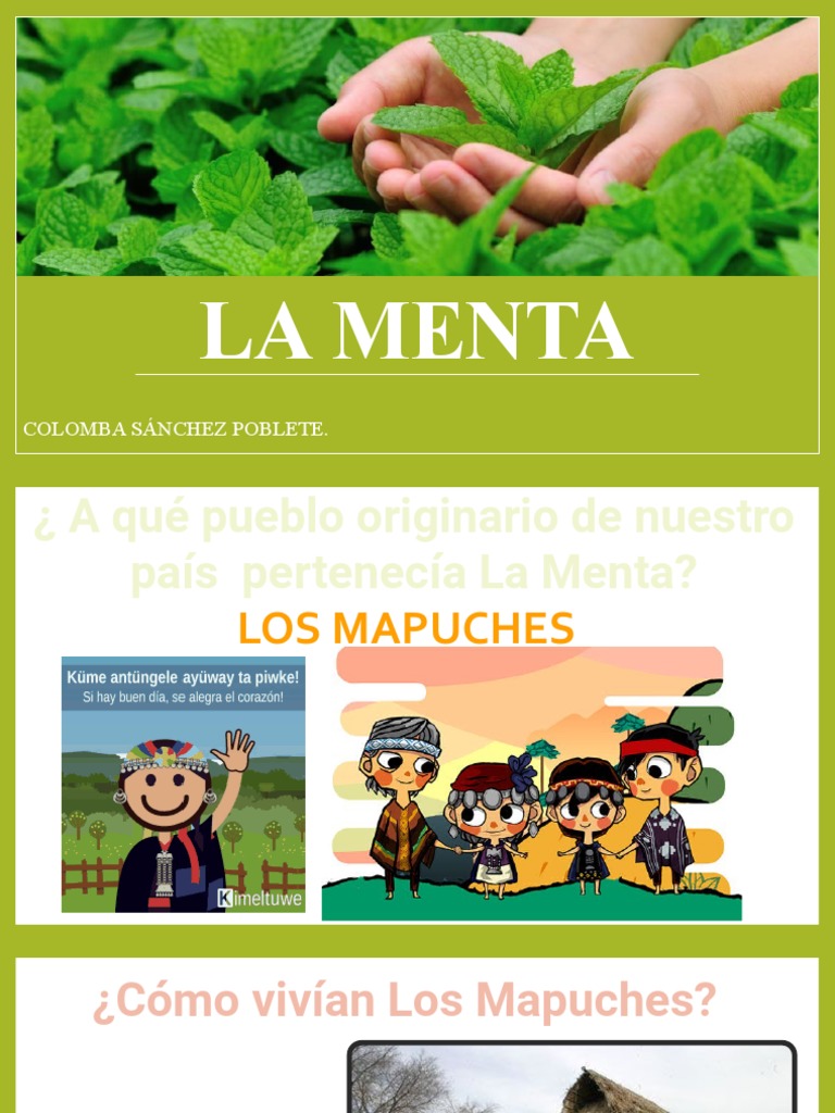 La Menta | PDF