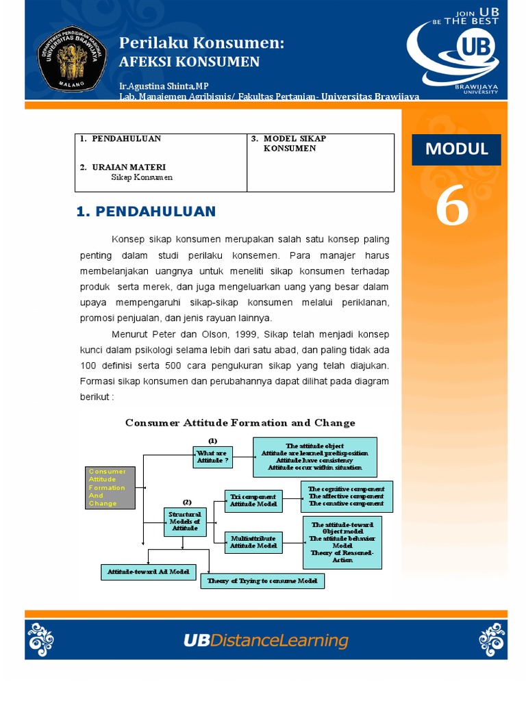Perilaku Konsumen 6 | PDF