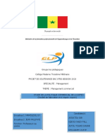 Sococim : Leader du Ciment au Sénégal | PDF | Business | Logistique