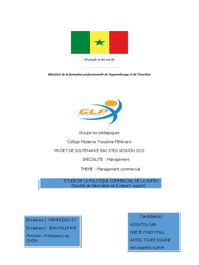 Sofiex Presentation de Lorganisation3 | PDF
