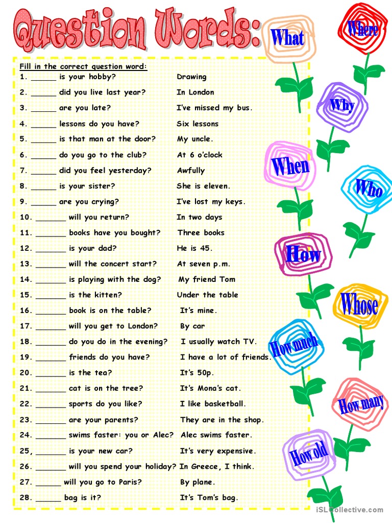 Question Words | PDF