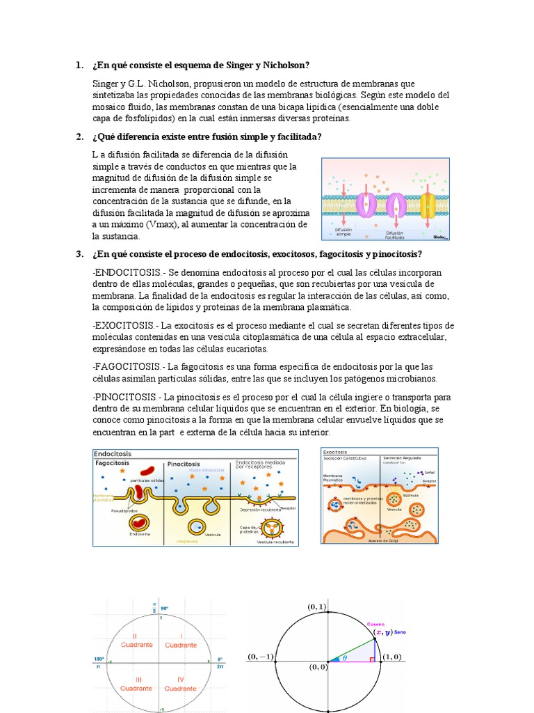Modelo de Mosaico Fluido de Singer y Nicholson | PDF | Ciencias ...