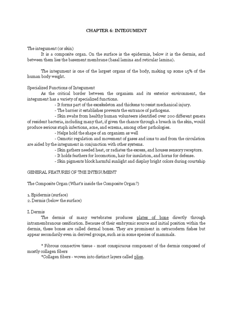 Chapter-6-Integument Notes | PDF | Skin | Integumentary System