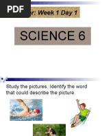Science Notes Year 6 | PDF | Friction | Wear