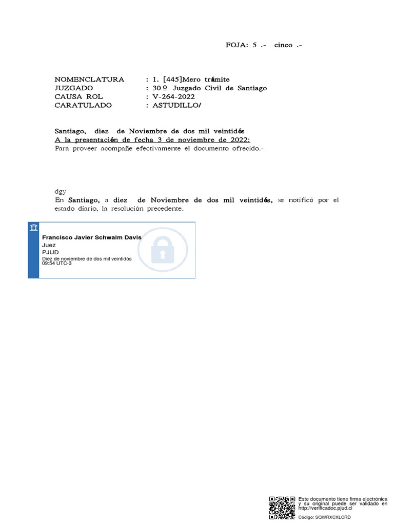 Francisco Javier Schwalm Davis: Juez Pjud | PDF