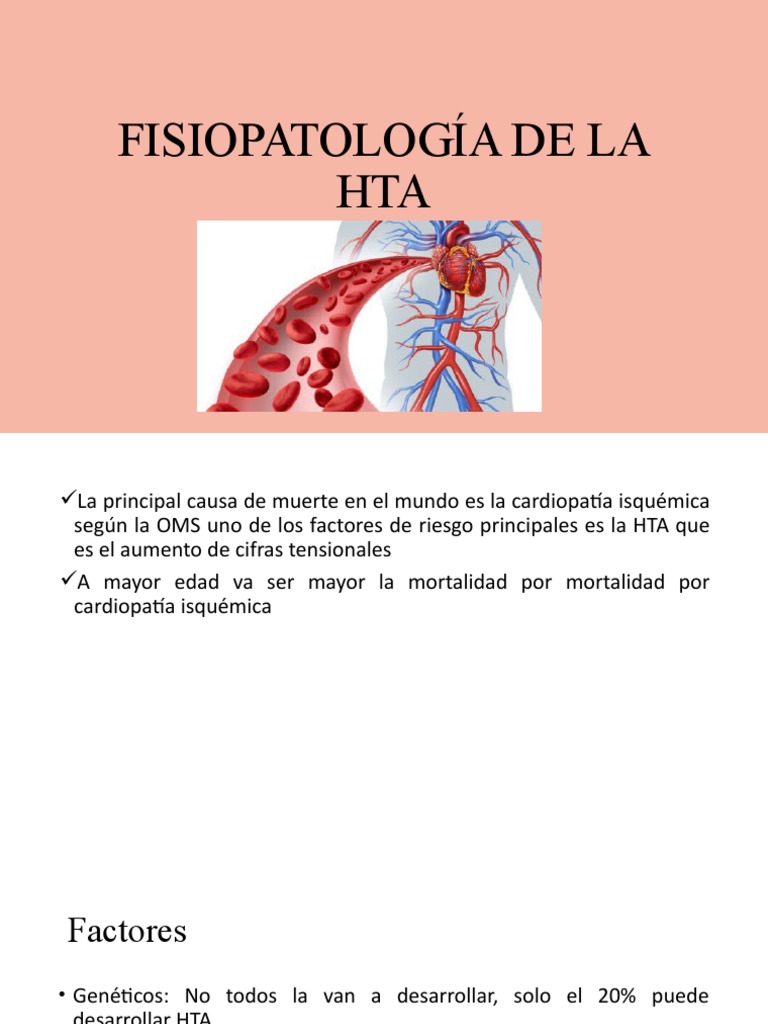 FISIOPATOLOGÍA DE LA HTA | PDF | Angiotensina | Hipertensión