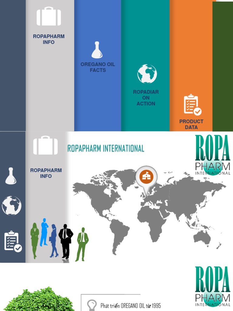 Ropadiar Solution Vietnammese | PDF