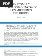 Cap 21 Sistema Venoso Superficial | PDF | Vena | Abdomen