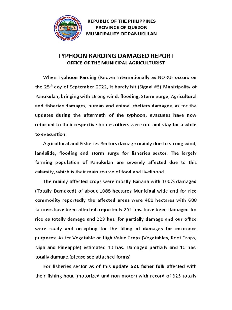 Typhoon Paeng Damage Report | PDF