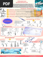 Posición de Roser o Proetz | PDF | Inflamación | Biología Celular)