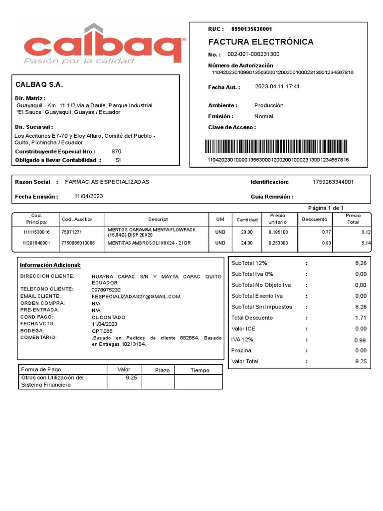 Modelo Factura Electronica | PDF | Dinero | Business