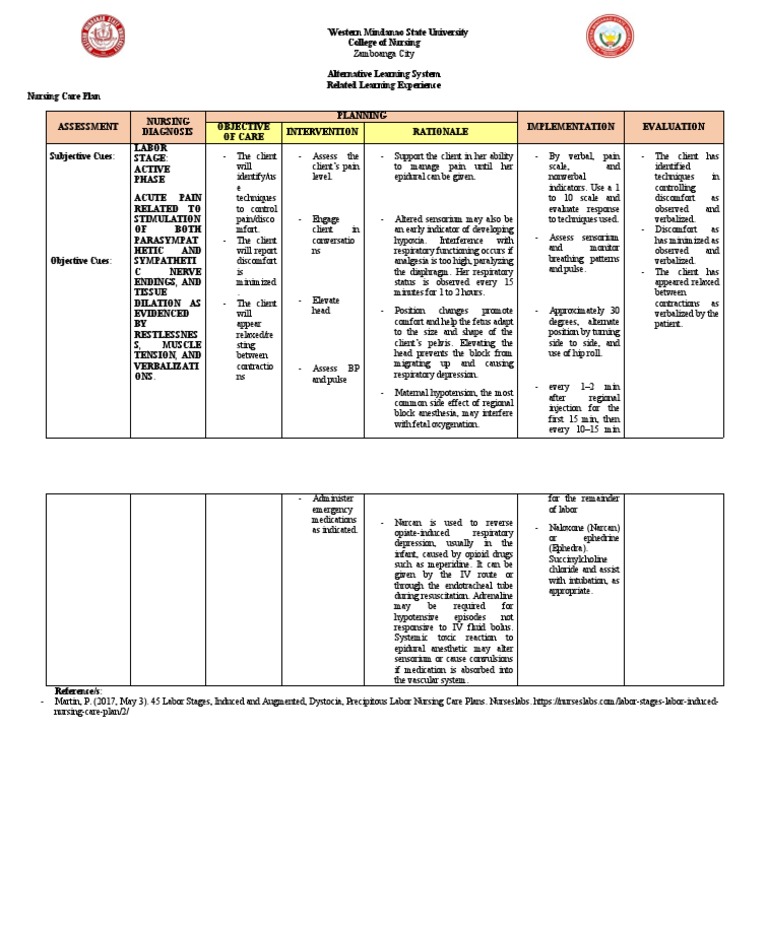 Postpartum NCP | Download Free PDF | Naloxone | Childbirth