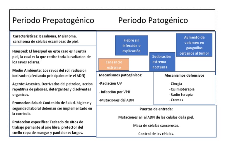 Análisis del Periodo Prepatogénico | PDF