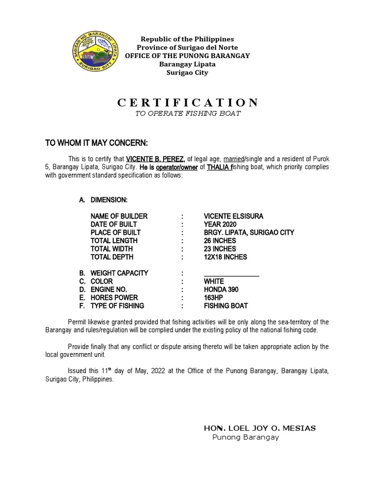 Certification: To Whom It May Concern | PDF