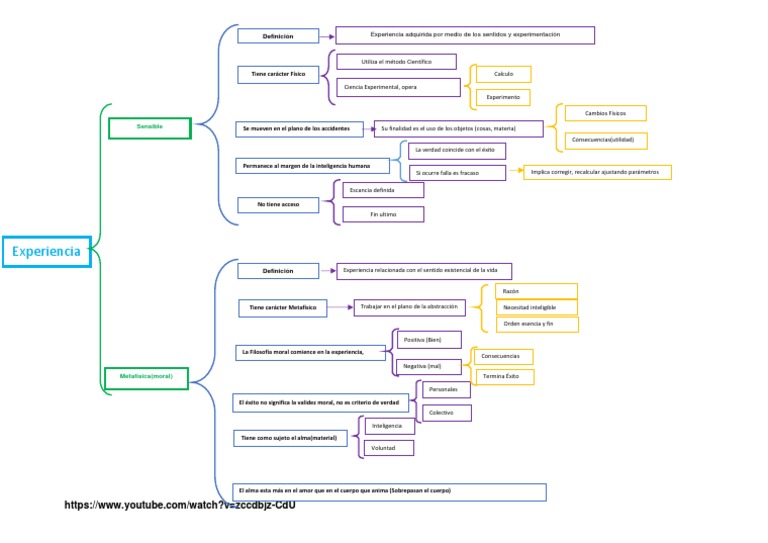 Mapa Sinoptico | PDF