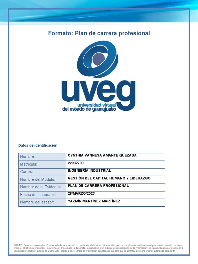 Plan de Carrera Profesional | PDF | Liderazgo | Información