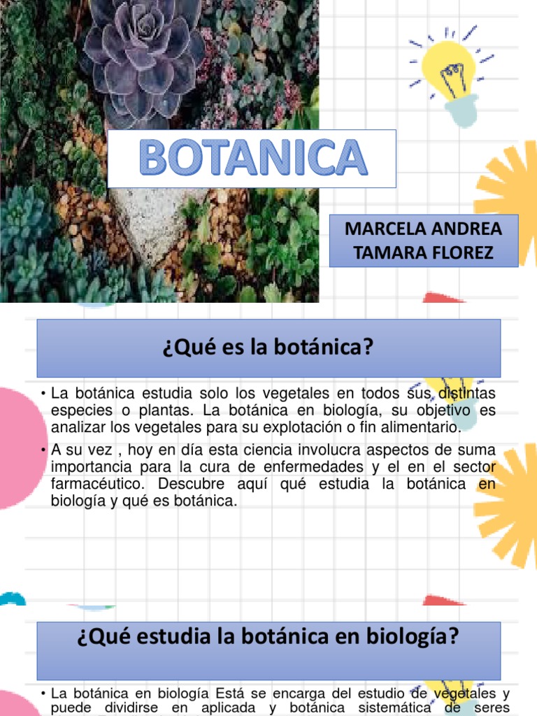 Qué es la botánica y su estudio | PDF | Plantas | Botánica