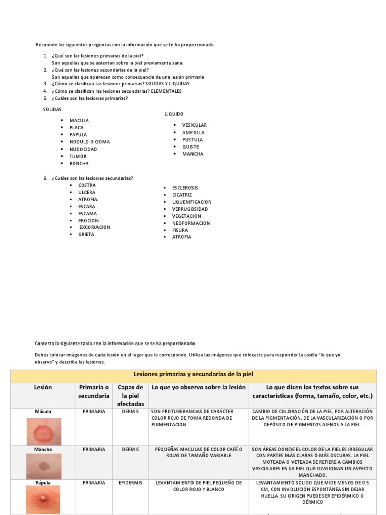 Clasificación y descripción de lesiones primarias y secundarias de la piel | PDF | Piel | Epidermis